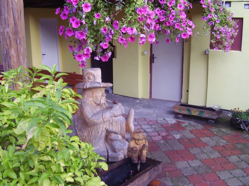 Česká Kanada: Penziony - Penzion Manypeny